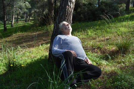 Man sleeping under a tree stock image. Image of sleep - 63539261