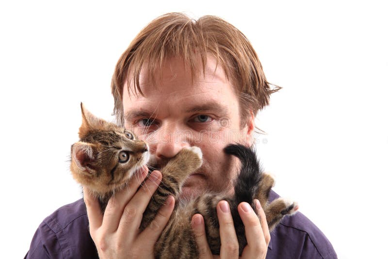 The small cat is isolated stock image. Image of funny - 24695071