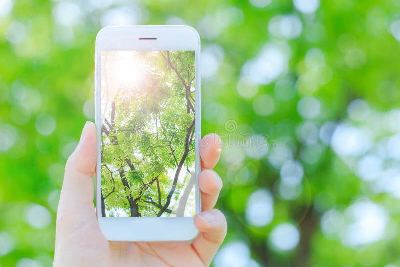 A Man with a Smartphone in Nature Stock Image - Image of happy, nature ...