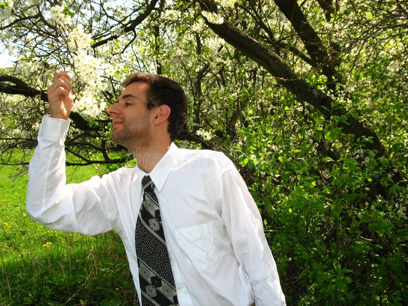 Man Smelling Flowers stock photo. Image of clothing, environment - 7254238