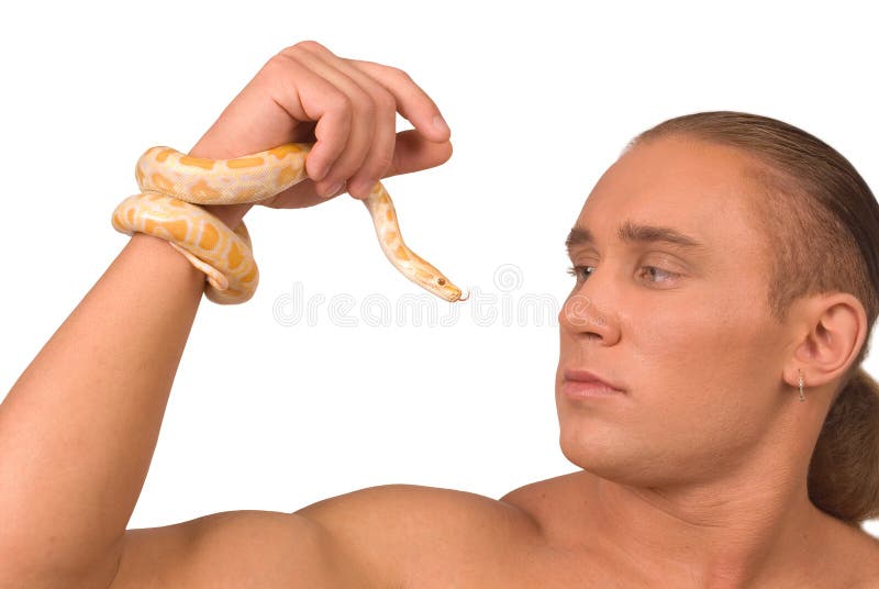 The man and snake stock image. Image of constrictor, fitness - 3787049
