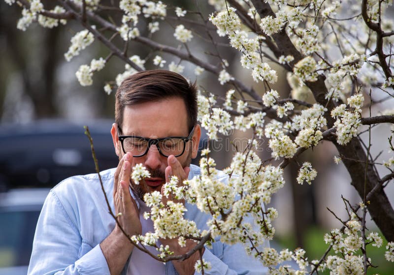 Man Sneezing beside Blooming Tree Stock Photo - Image of nature ...
