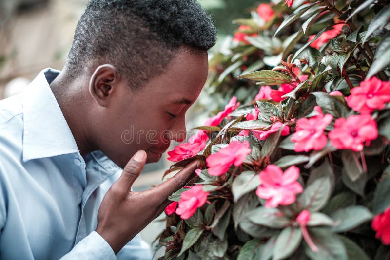 Man sniffing the flowers stock image. Image of african - 78609113