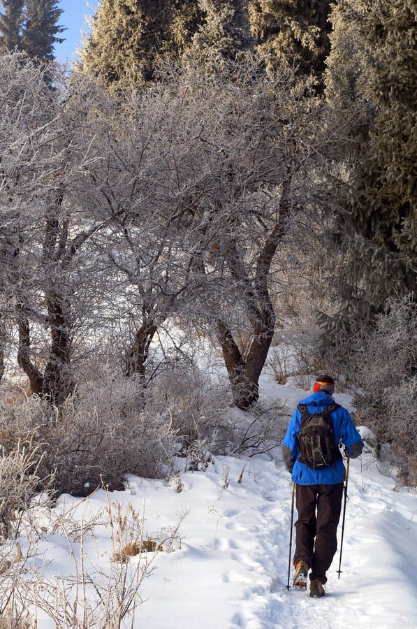 Man Snowshoer Climbing Hill Stock Image - Image of action, people: 3762693