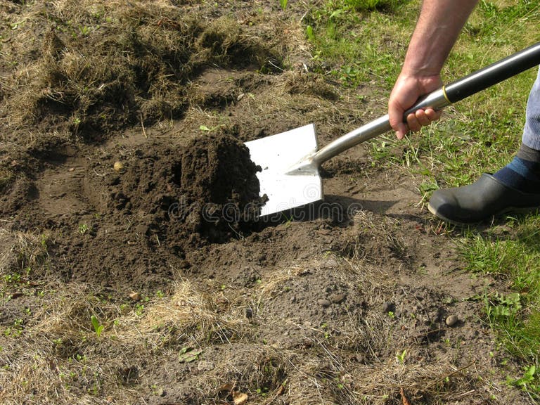Man with Spade Doing Work in the Garden Stock Photo - Image of human ...