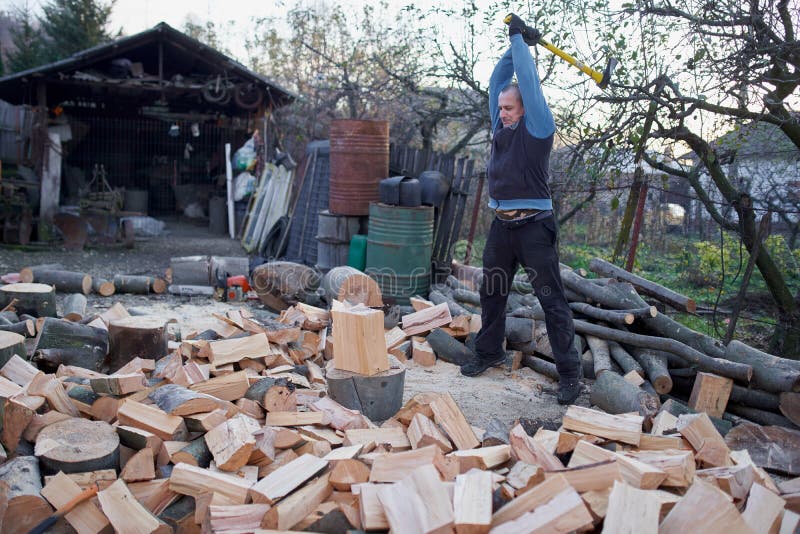 Man Splitting Wood with Axe and Maul Stock Photo - Image of hard ...