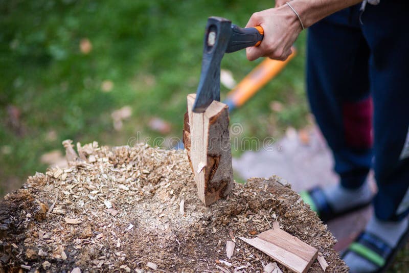 Man Splitting Wood while Using His Axe Stock Photo - Image of ...