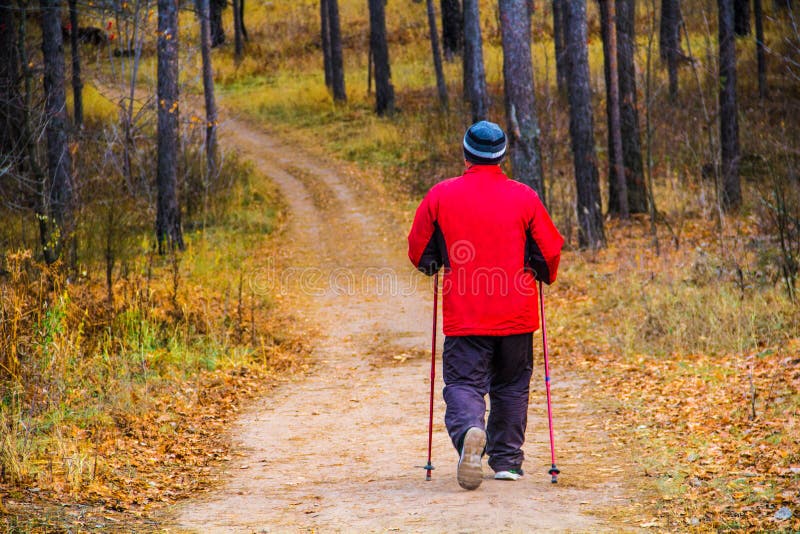 A Man Walks Along a Path among Trees in a Forest in Autumn Editorial ... A Man Walks Along a Path among Trees in a Forest in Autumn Editorial ...