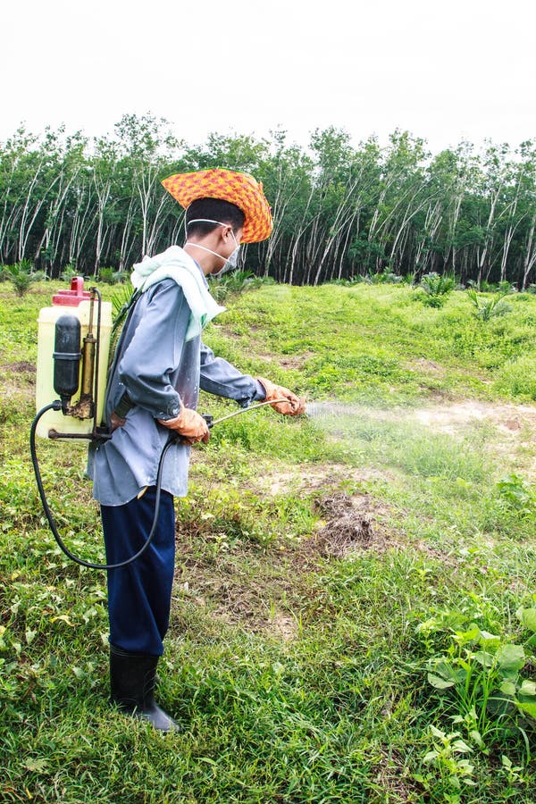 A Man is Spraying Herbicide Stock Image - Image of carcinogenic, mask ...