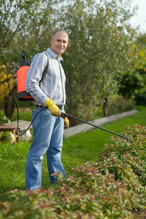 Man spraying plant stock photo. Image of bushes, farmer - 33063580
