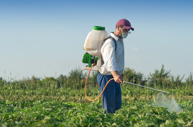 Man spraying vegetables stock image. Image of growth - 19296803