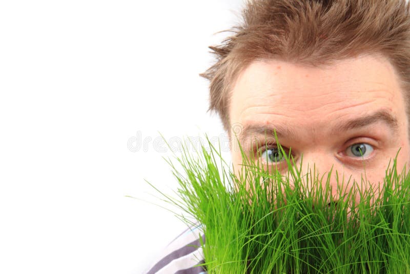 Face with grass hair stock image. Image of herb, botany - 19505891