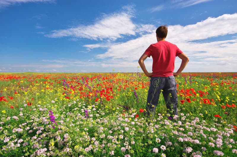 Man in spring meadow stock photo. Image of happy, field - 85596764