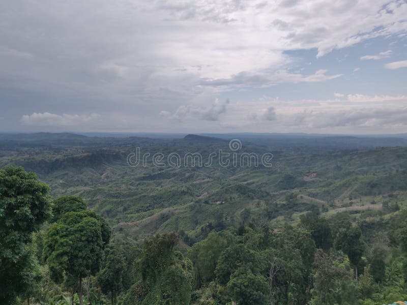 Man Stand Alone and Fresh Mind Stock Image - Image of woman, alone ...