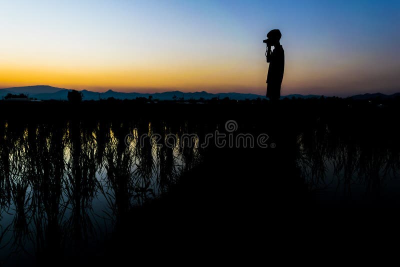 Man Stand and Take the Camera on the Rice Field Stock Image - Image of ...