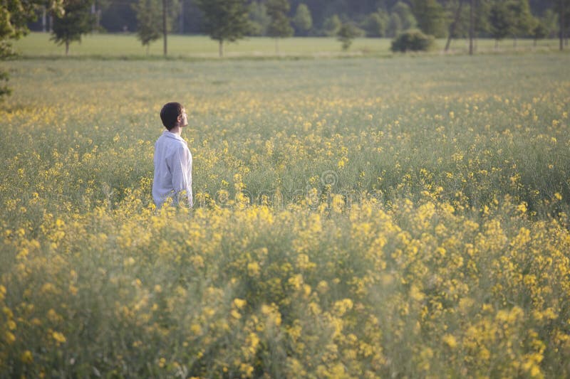 Man standing in field stock photo. Image of harvest, caucasian - 19476392
