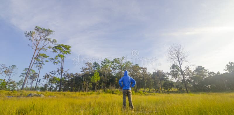 Man standing in field stock photo. Image of beauty, leisure - 61911040