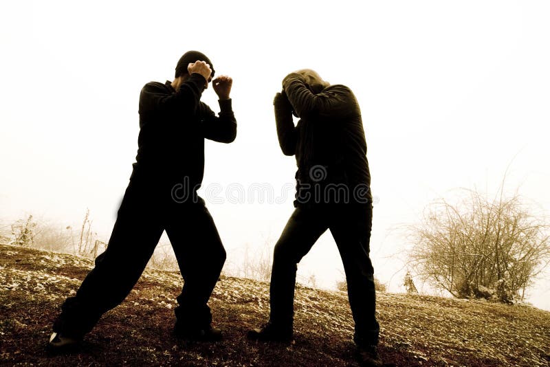 Man Standing in Fight Guard Stock Photo - Image of grass, silhouette ...
