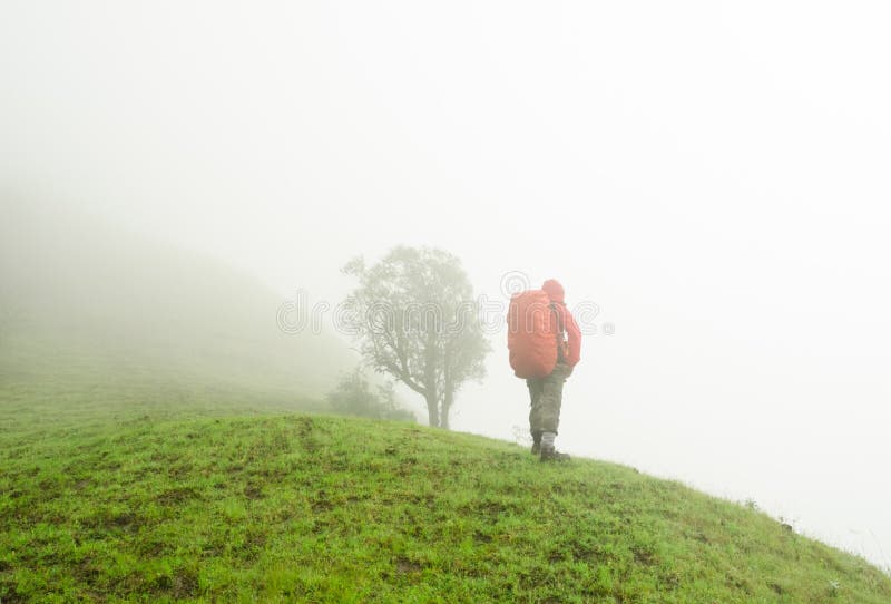 Man standing in the fog stock photo. Image of fantasy - 61174664