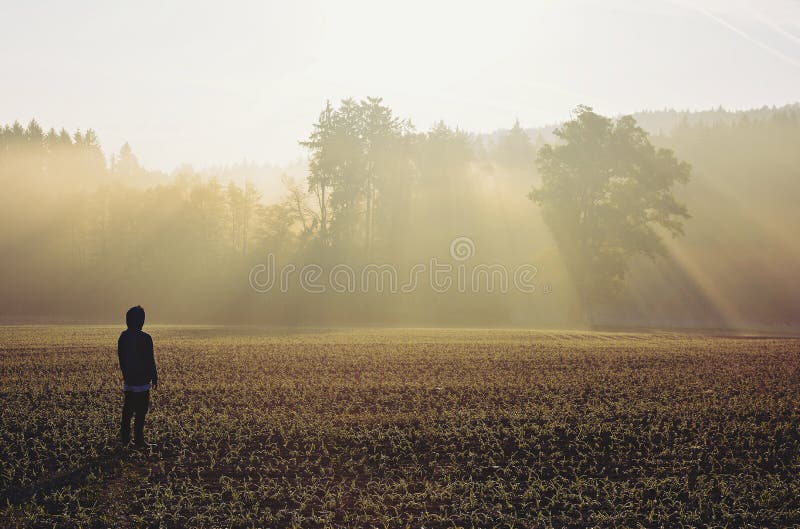 Man Standing in the Fog at Sunrise Stock Image - Image of mood, misty ...