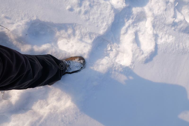 412 1 Foot Human Stock Photos - Free & Royalty-Free Stock Photos from ...