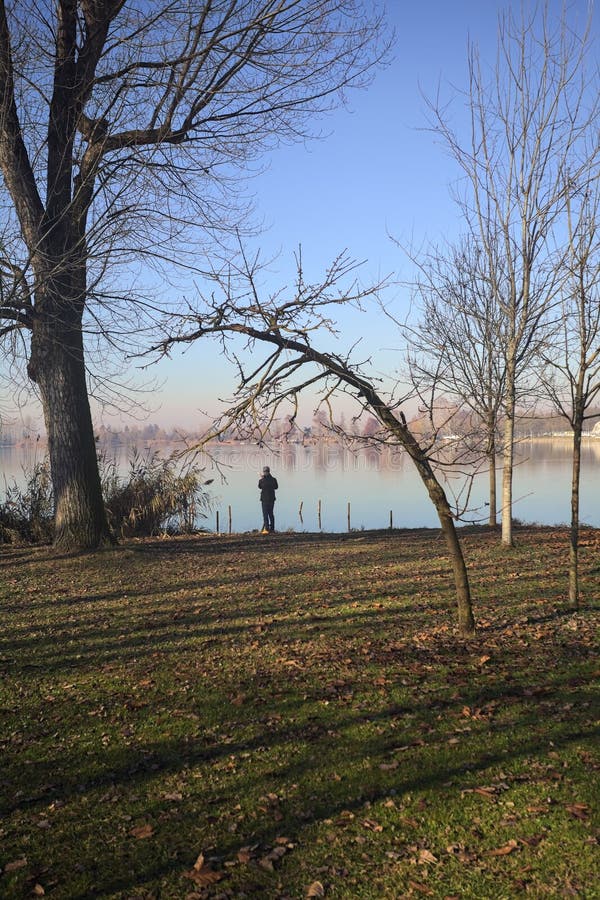 Man Standing by the Lakeshore Stock Image - Image of edge, ecology ...