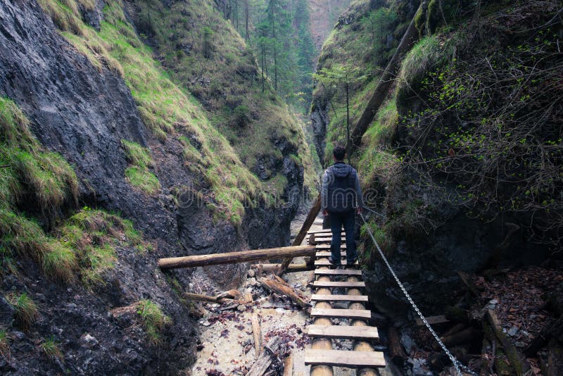 Man Standing on the Path through Canyon Stock Image - Image of rock ...