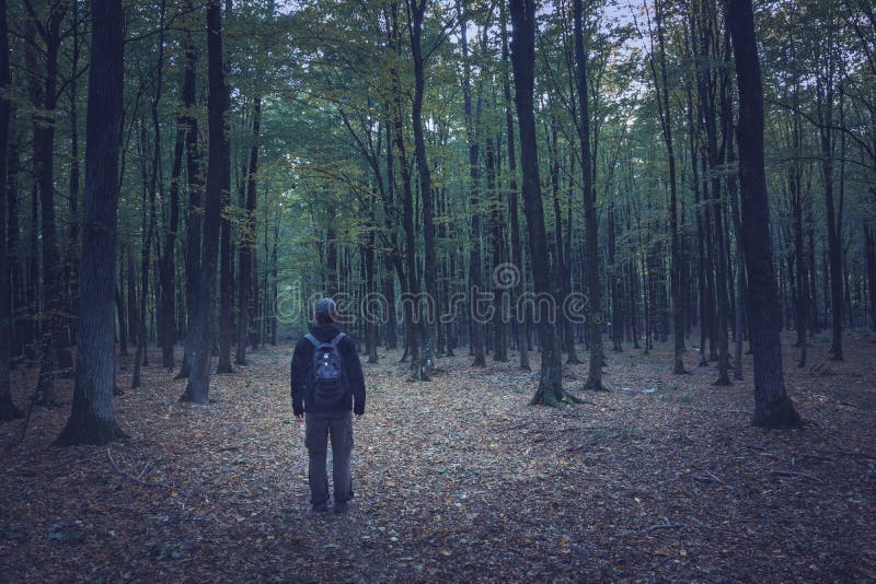 A Man Standing on a Path in a Dark Forest Stock Photo - Image of light ...