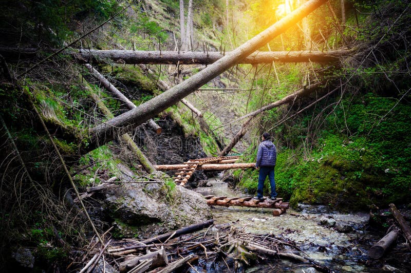 Man standing on the path stock photo. Image of paradise - 76070306