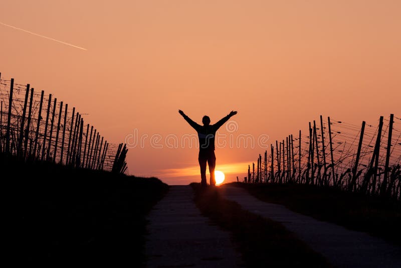 Man Standing in Sunset with Arms in Air Stock Photo - Image of ...