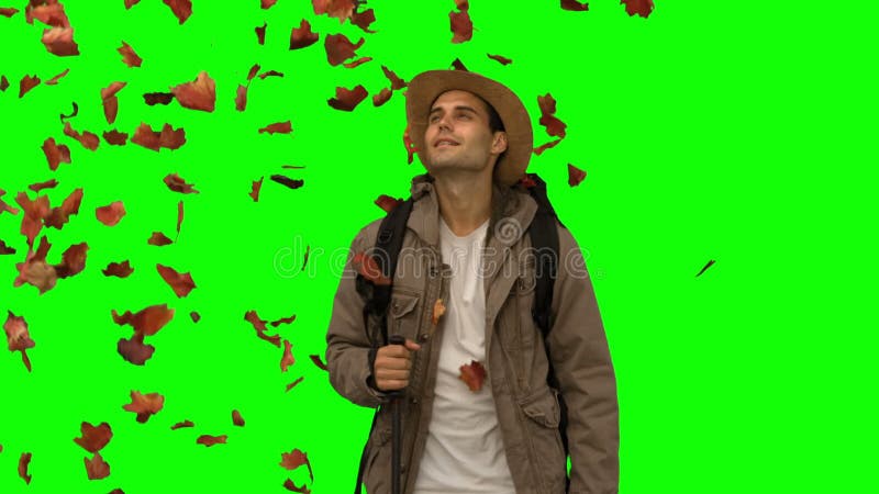 Man Standing Under Leaves Falling on Green Screen Stock Footage - Video ...