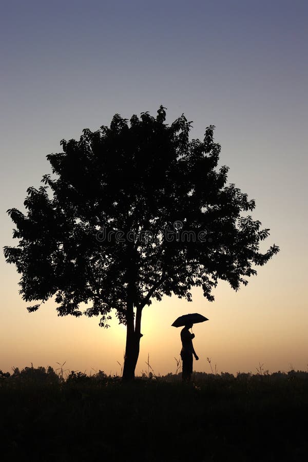 A Man is Standing Under a Tree with an Umbrella Stock Image - Image of ...