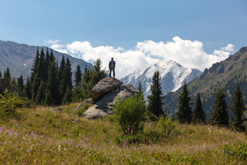 Stone on the Edge of the Swimming Pool Stock Photo - Image of leisure ...