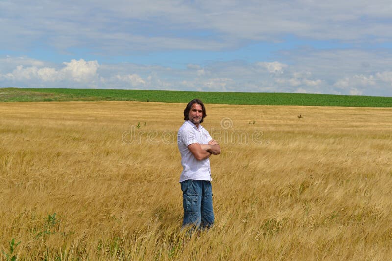 Man Stands on the Rye Field Stock Photo - Image of sunny, field: 57615270