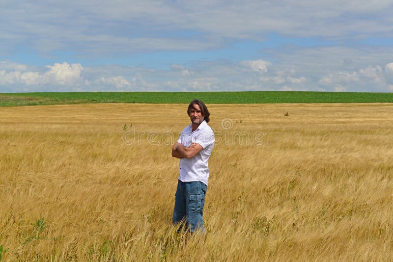 Man Stands on the Rye Field Stock Photo - Image of stands, rural: 57615756