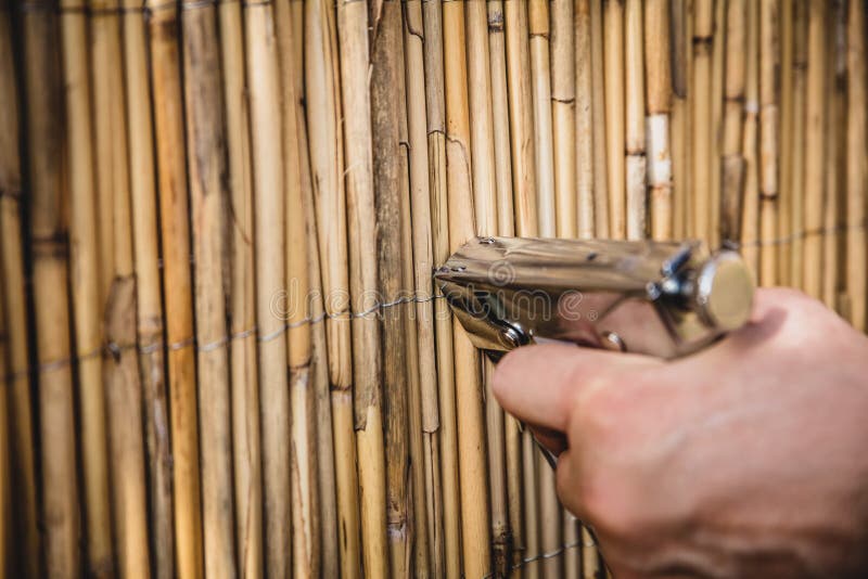 Man Staple with a Tacker a Bamboo Mat Stock Image - Image of bamboo ...