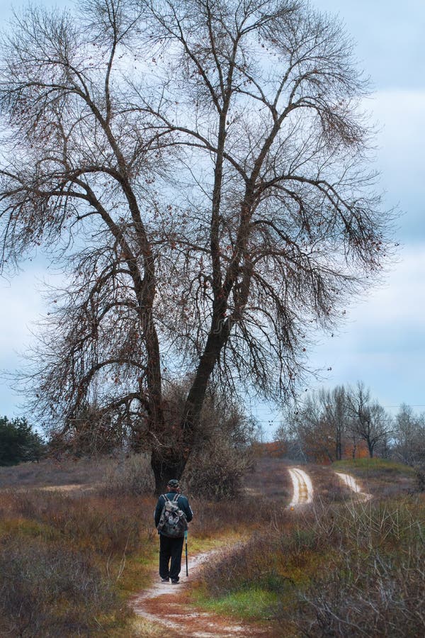 A Man with a Stick is Walking Along the Path in Nature Stock Image ...