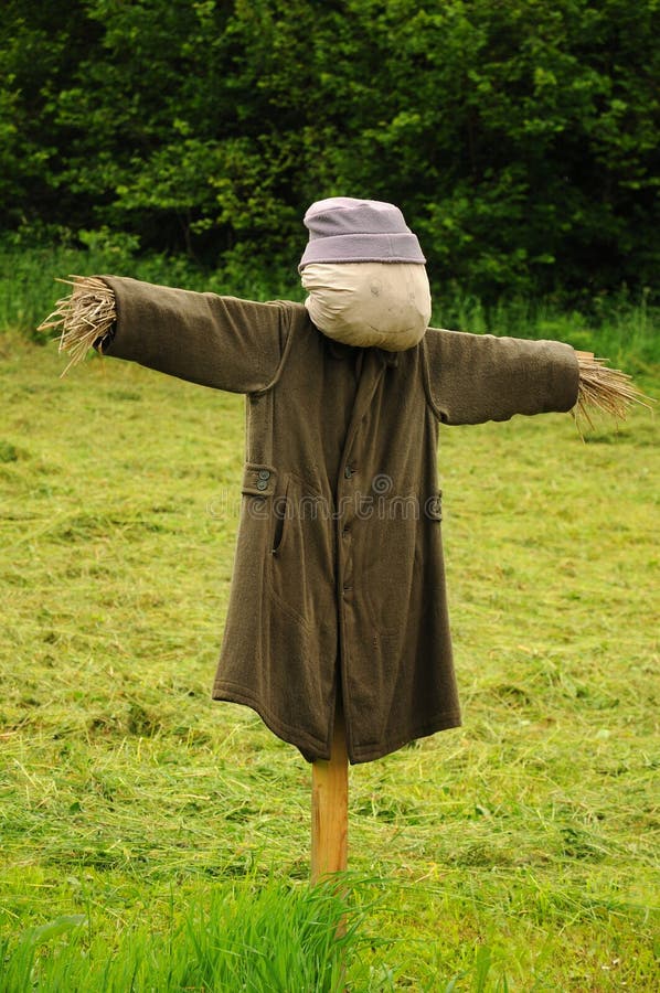 Man of straw stock image. Image of straw, green, grass - 32209245
