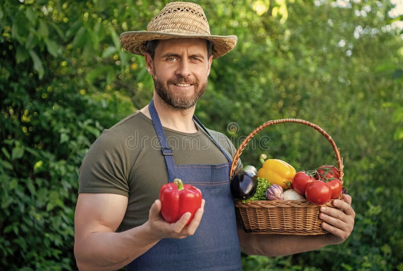 Man in Straw Hat Hold Basket Full of Vegetables. Harvesting Stock Image ...