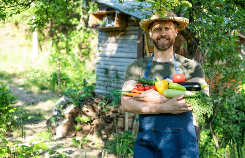 Man in Straw Hat Hold Fresh Ripe Vegetables. Crop Stock Image - Image ...
