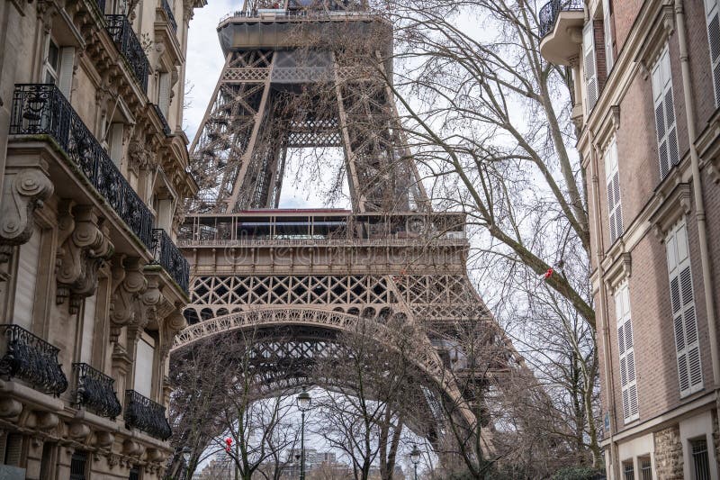 Man on Street in Paris with the Eiffel Tower Paris, France Stock Image ...