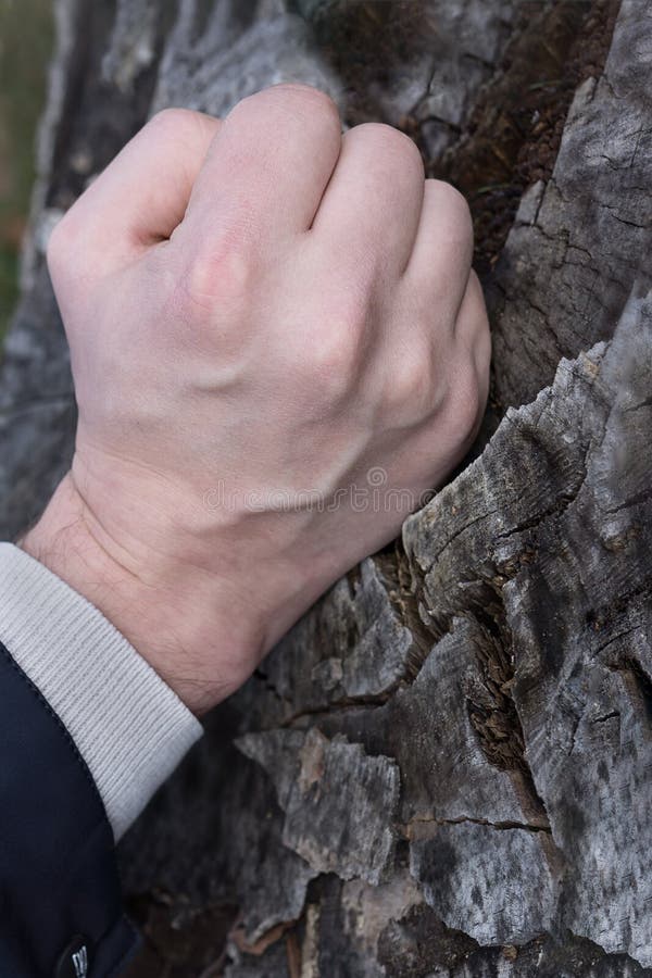 Man strikes a tree stock image. Image of conflict, aggressive - 138749357
