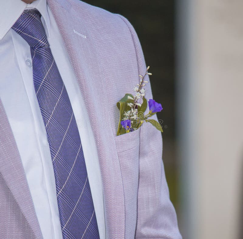 Collaralsoflower Stock Photos - Free & Royalty-Free Stock Photos from ...