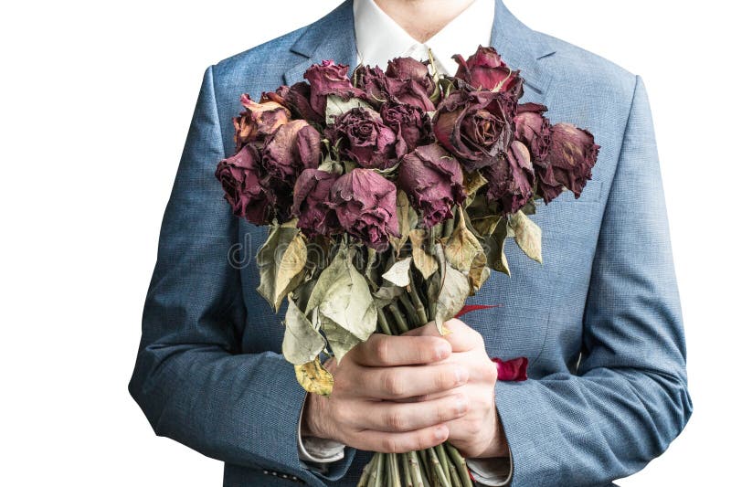 Roses in Front of the Garden Fence. Stock Photo - Image of erect, mood ...