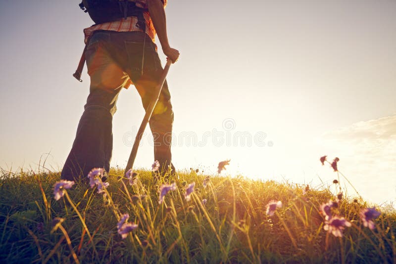 Man summer meadow flowers stock image. Image of pasture - 53733763