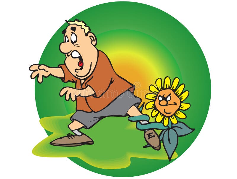 Man and sunflower stock vector. Illustration of design - 20023778