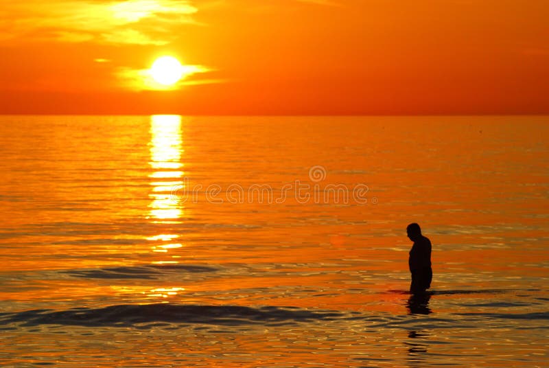 Man in sunset stock image. Image of coast, light, beach - 10865399