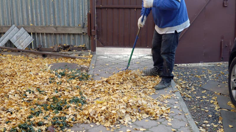 A Man is Sweeping a Path from Fallen Leaves in His Yard. Autumn in the ...