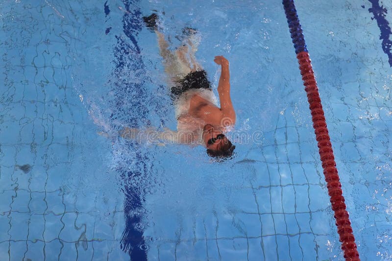 Man Swimming in a Pool Back Stroke Stock Image - Image of pool ...
