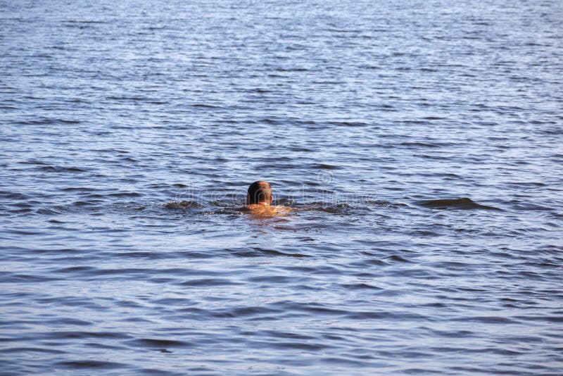 .a Man Swimming in the Water with His Back To the Viewer Stock Photo ...